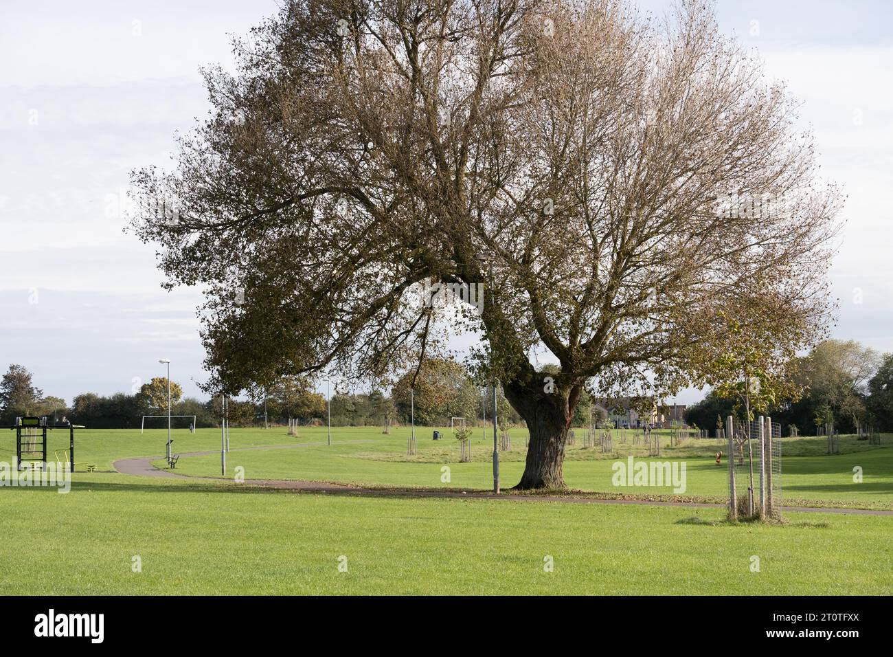 West Glebe Park, Corby, Northamptonshire, England, UK Stock Photo - Alamy