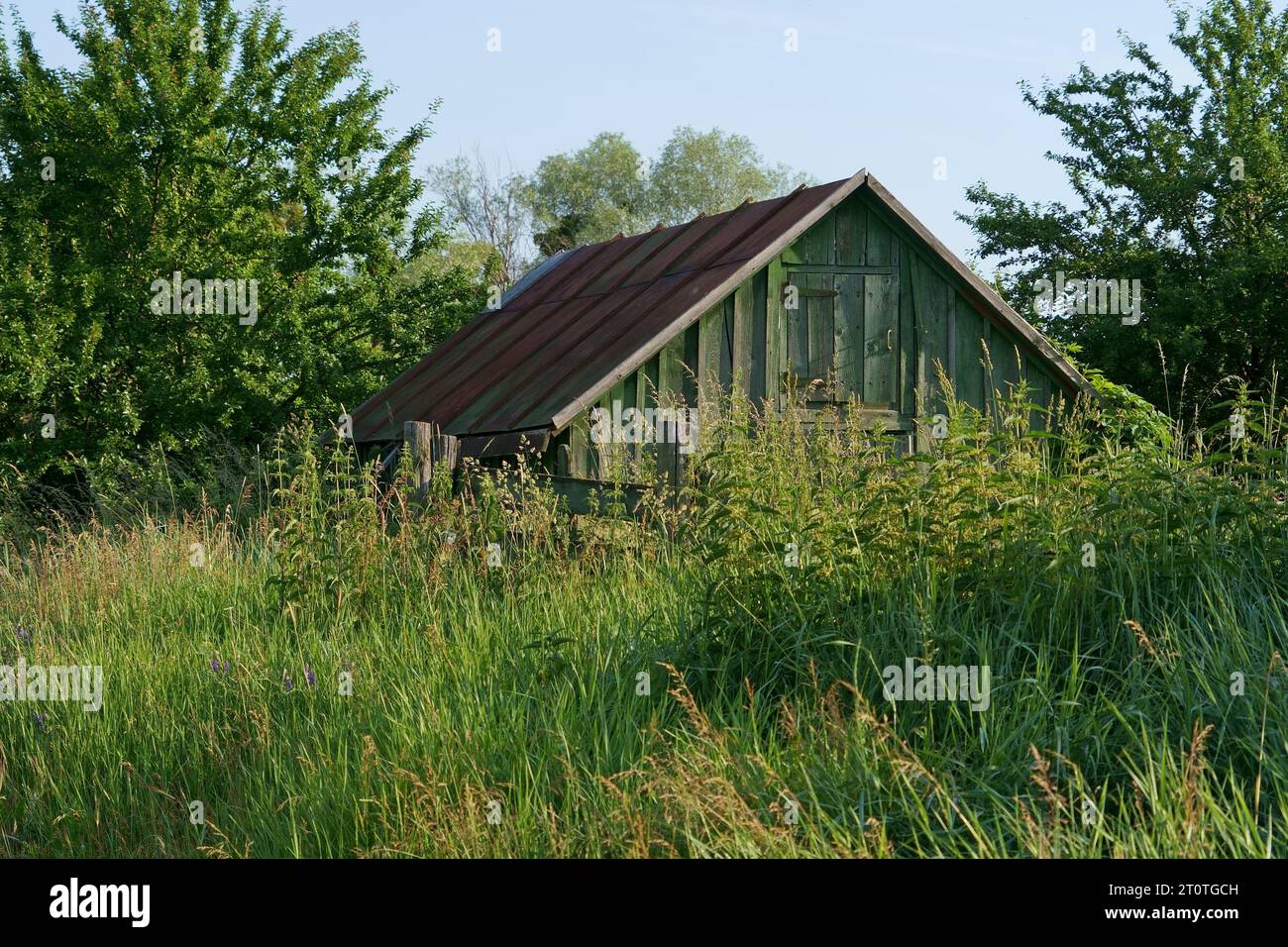 Depressed region. Dilapidation of the village. Unkept old fence and ...