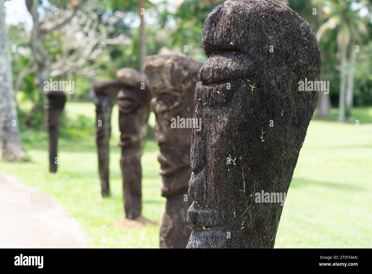 Yanuca Island Fiji - September 6 2023; Fern stump carved faces in Fiji ...