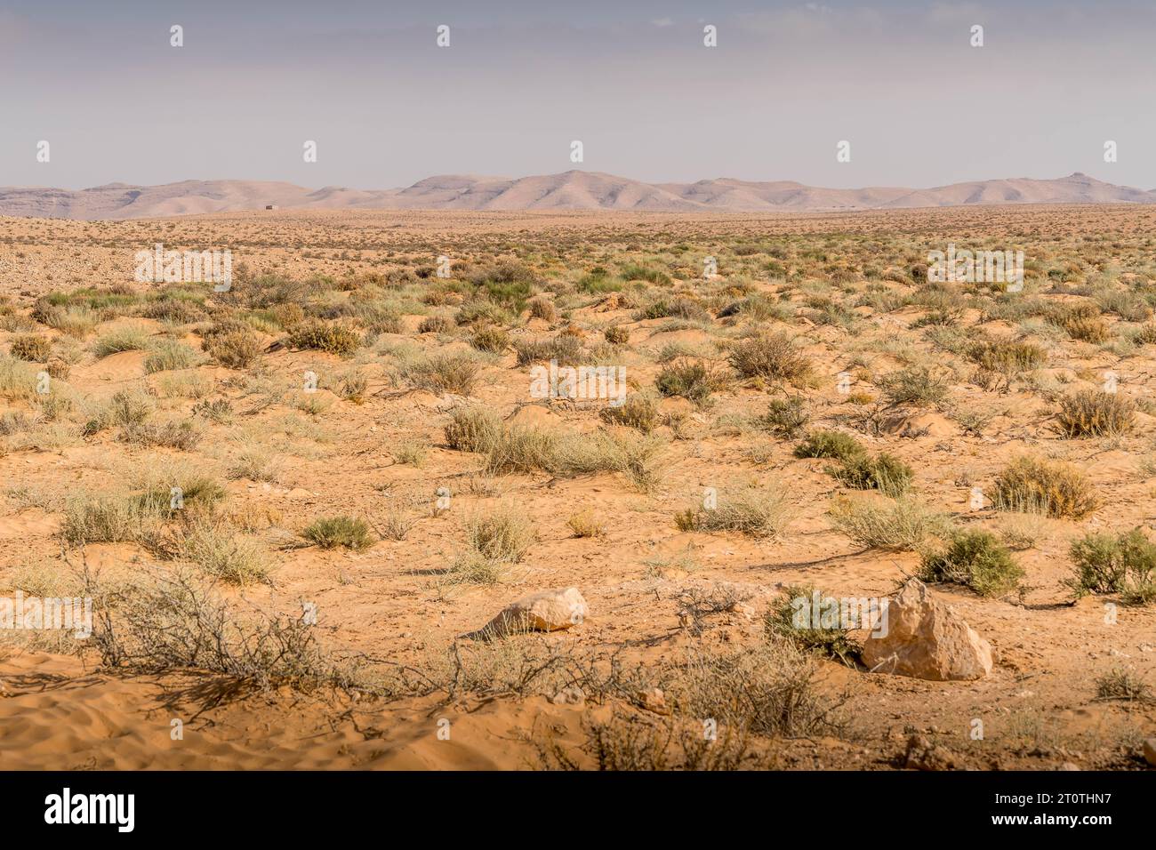 The arid desert landscape with small bushes and hills on the background ...