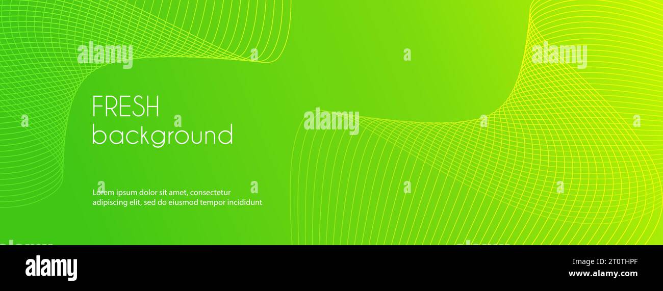 Green fresh gradient abstract long banner. Vector wavy lines minimal ...