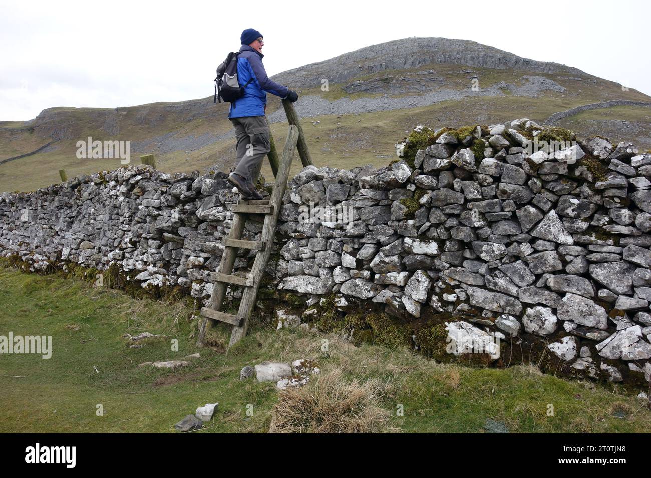 Man (Hiker) Climbing Wooden Ladder over Dry Stone Wall near 'Smearsett ...