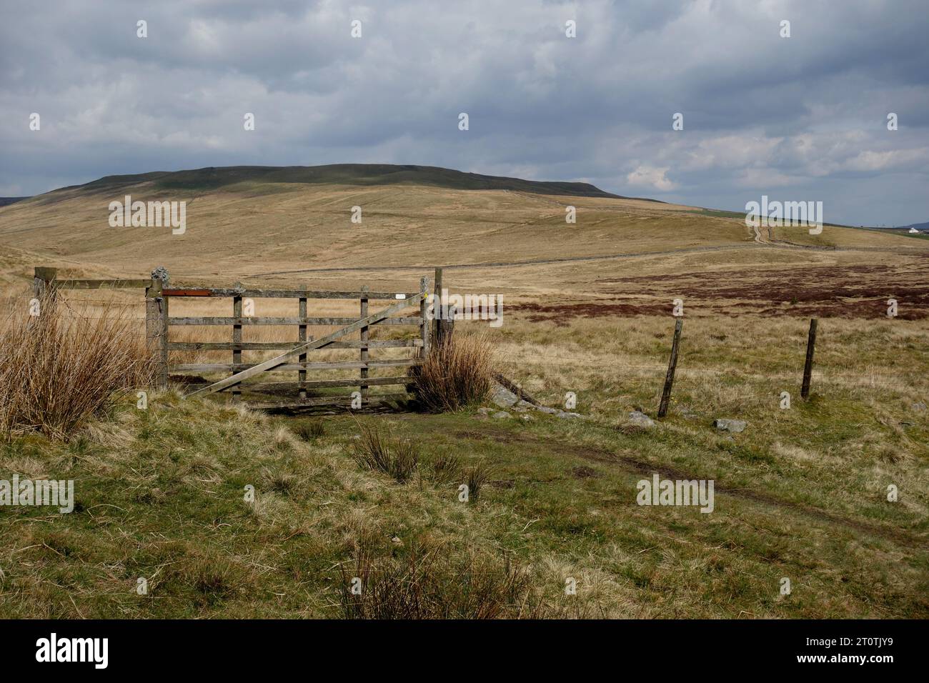 Stoops moss hi-res stock photography and images - Alamy