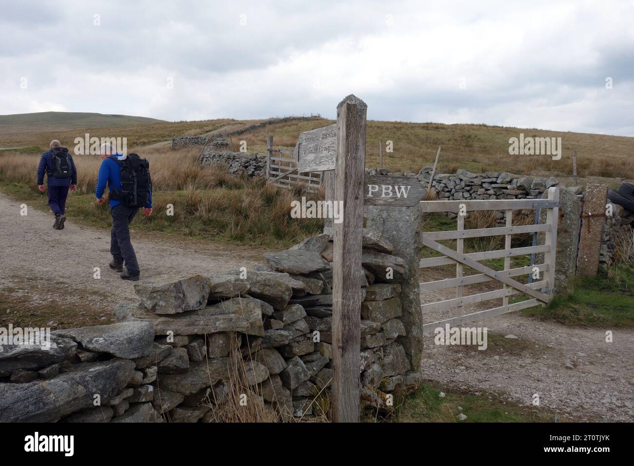 Arten gill moss hi-res stock photography and images - Alamy