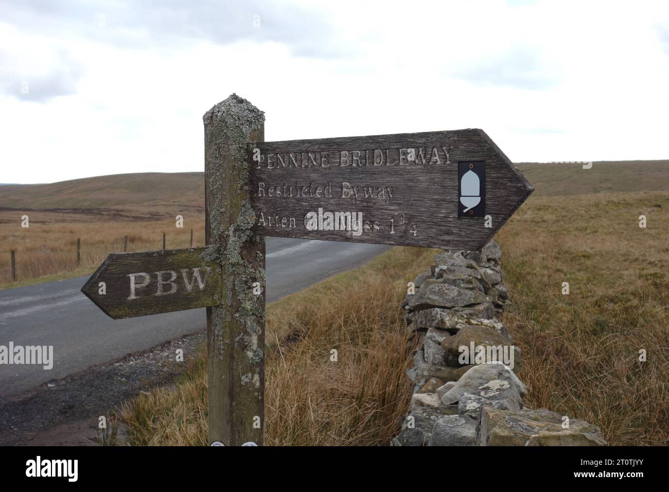 Arten gill moss hi-res stock photography and images - Alamy