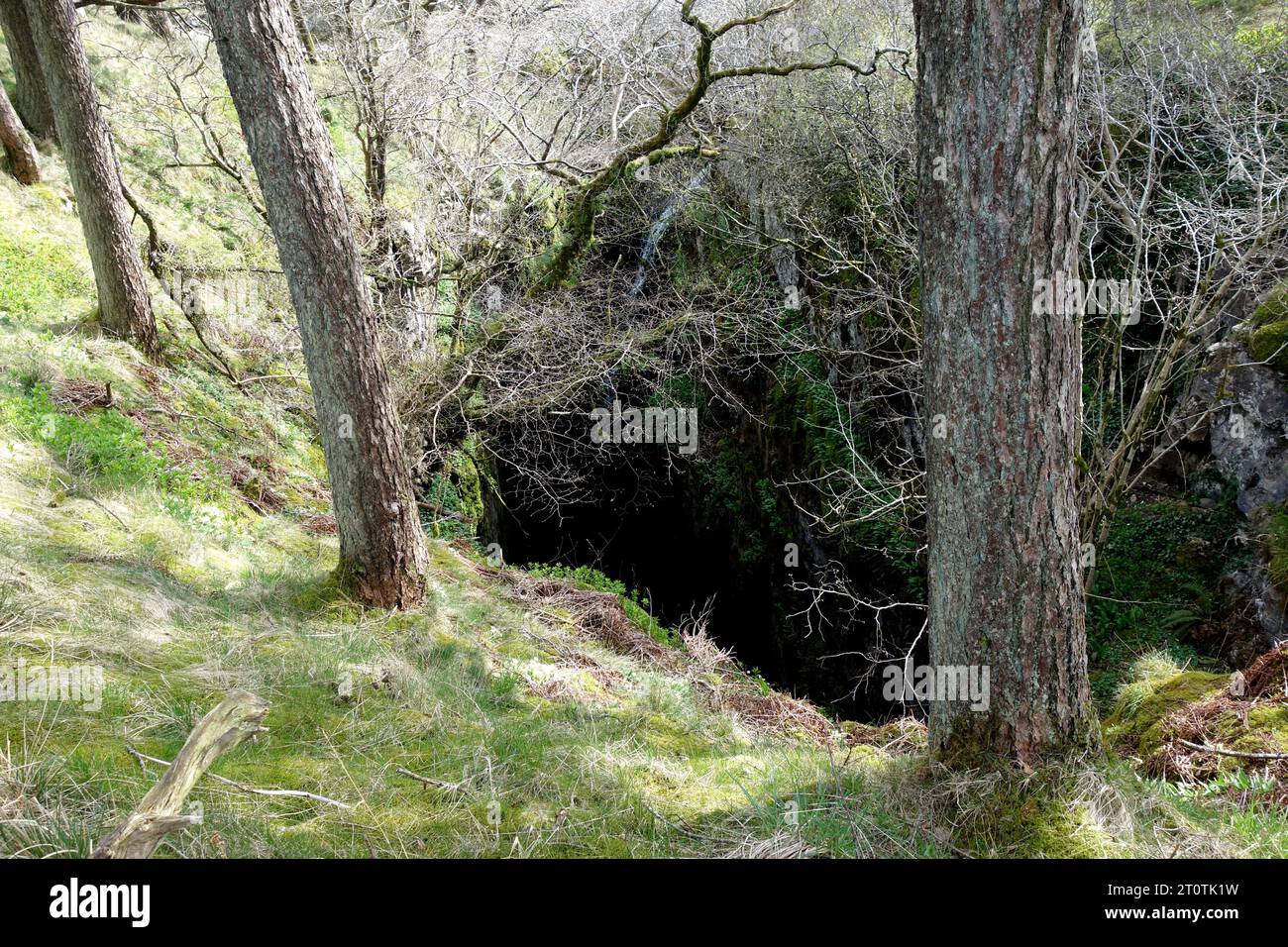 Helln landscape hi-res stock photography and images - Alamy