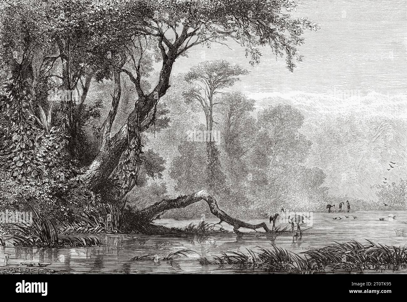 The river Phasis, Georgia. Voyage to the Black Sea and the Caspian Sea in 1858 by Moynet. Old ...