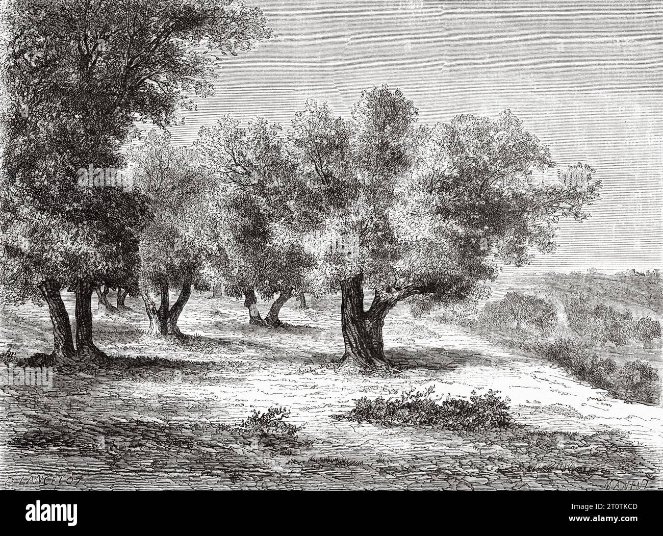 Aceldama, the Field of Blood, Jerusalem. Travels in Palestine, 1856 ...