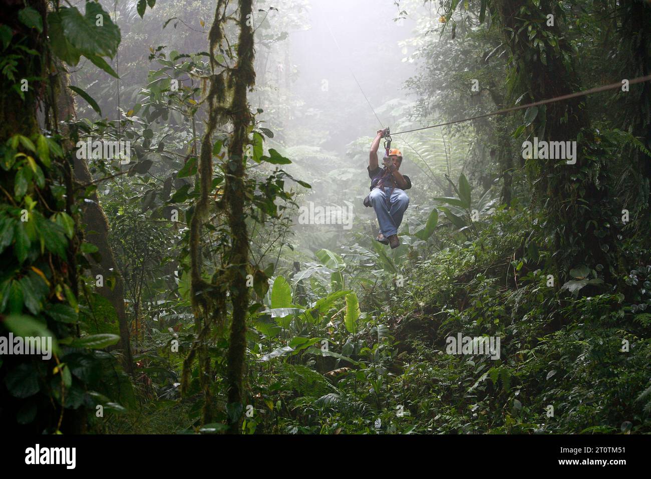 Canopy cable ride at Monteverde cloud forest. Costa Rica Stock Photo ...