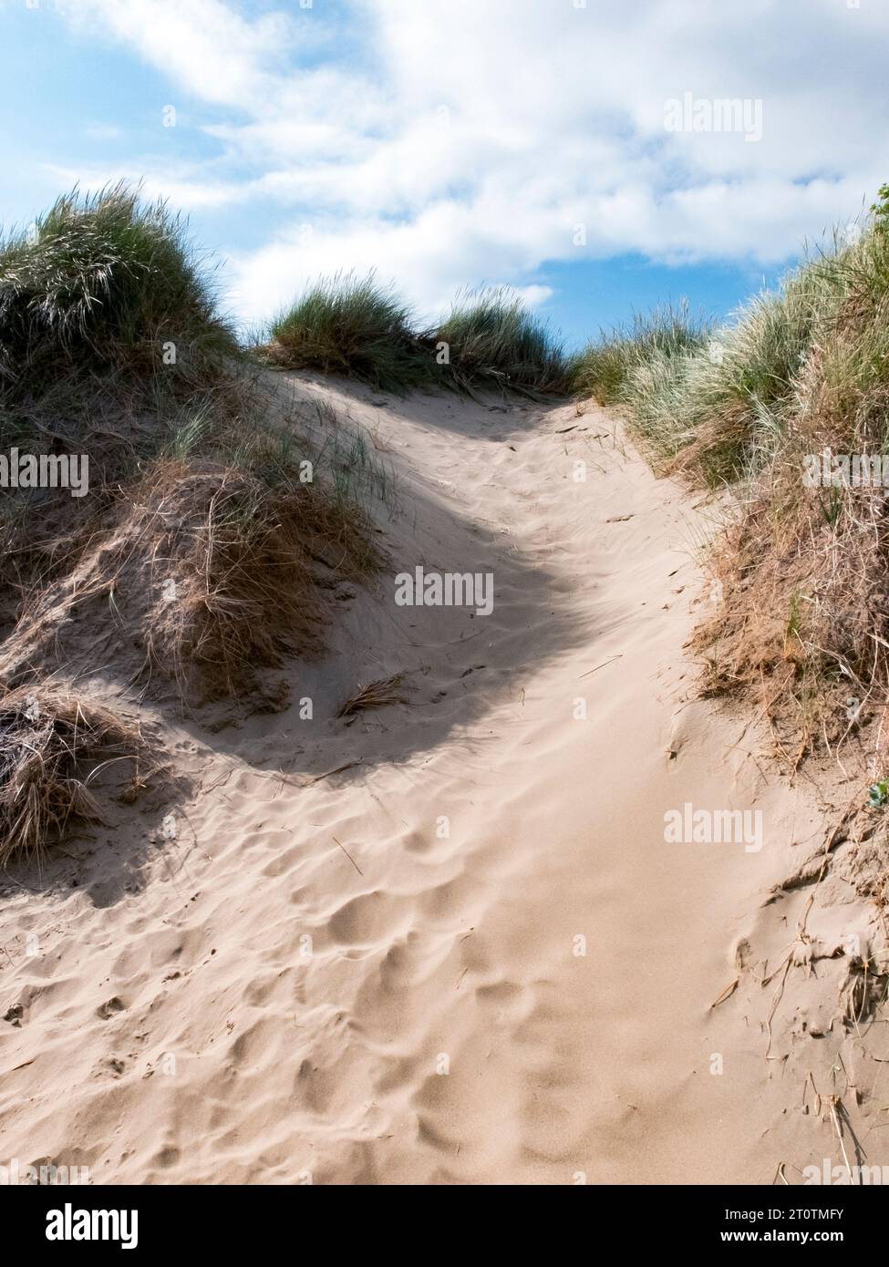 Sand dunes, a natural sea defence Stock Photo - Alamy