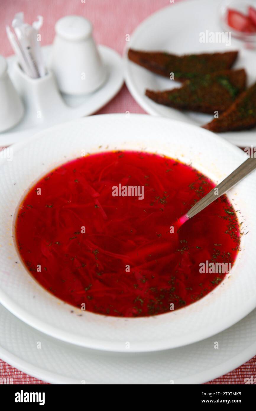 Borscht, a traditional russian beetroot soup, Moscow, Russia Stock ...