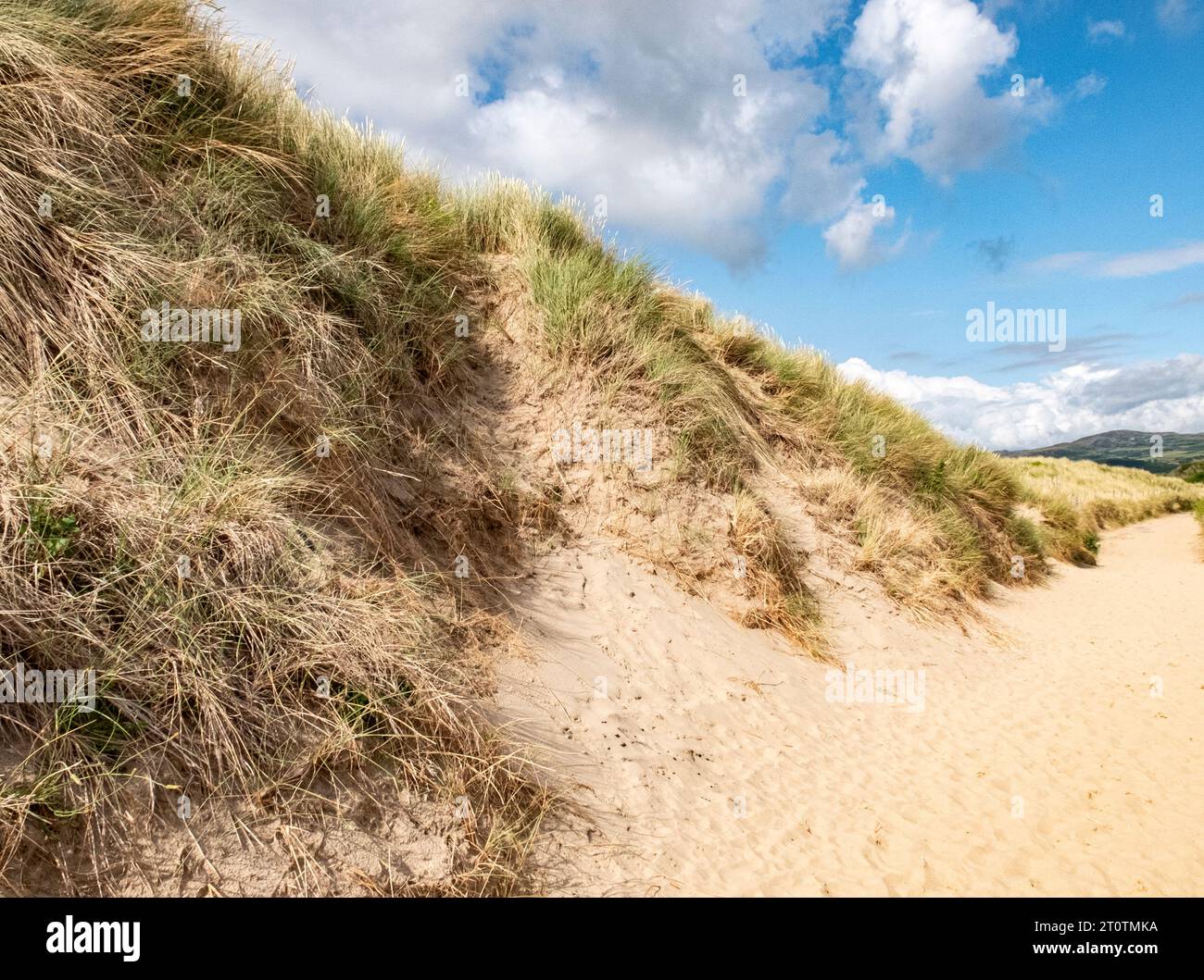 Sand dunes, a natural sea defence Stock Photo - Alamy