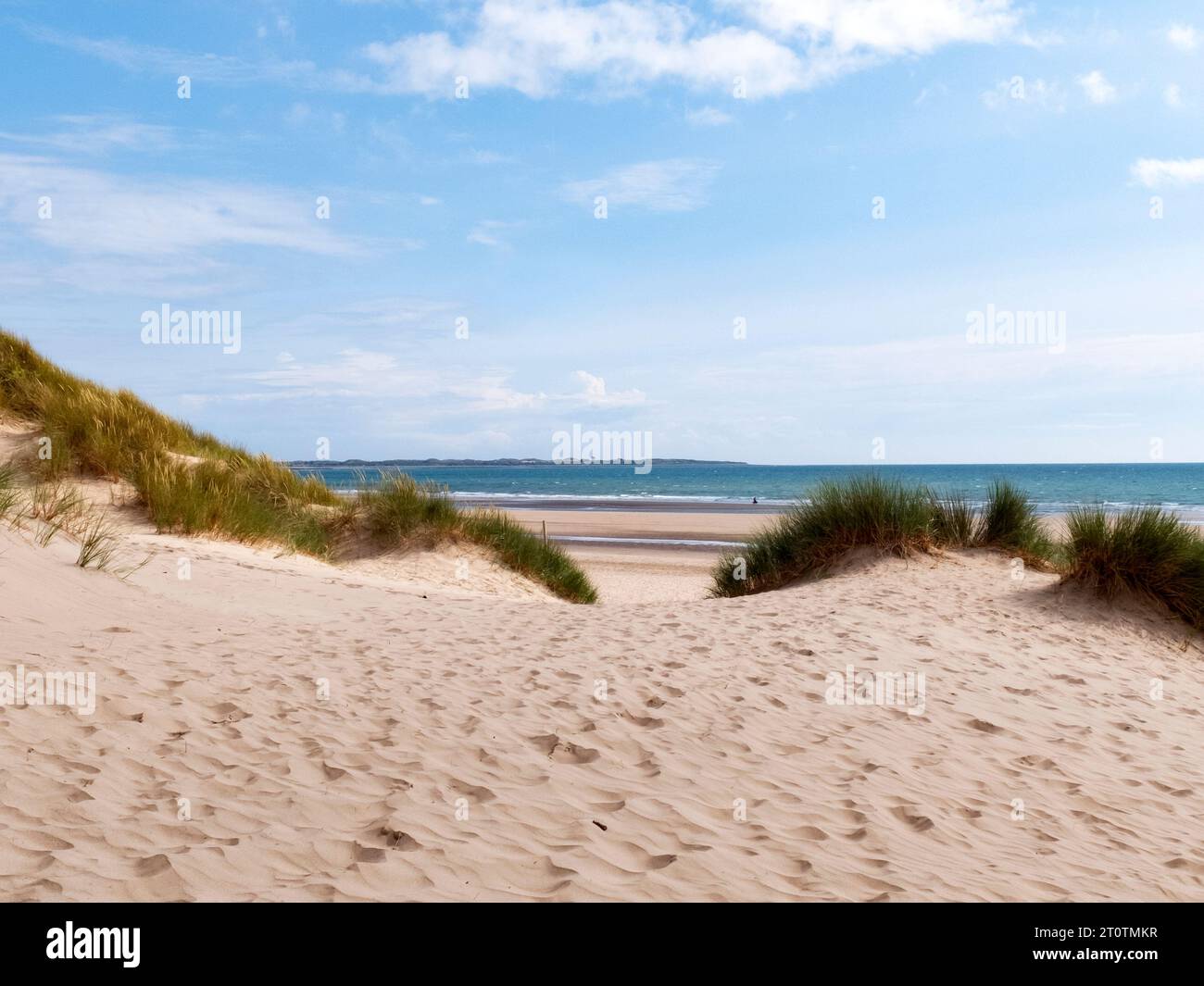 Sand dunes, a natural sea defence Stock Photo - Alamy
