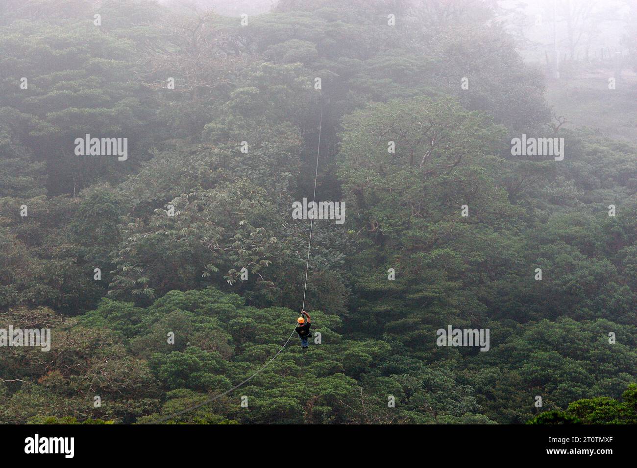 Canopy cable ride at Monteverde cloud forest. Costa Rica Stock Photo ...