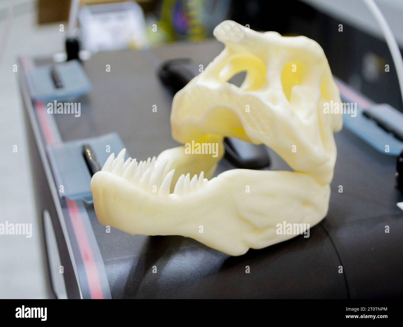 Art object printed on 3D printer. Prototype dinosaur skull head with ...