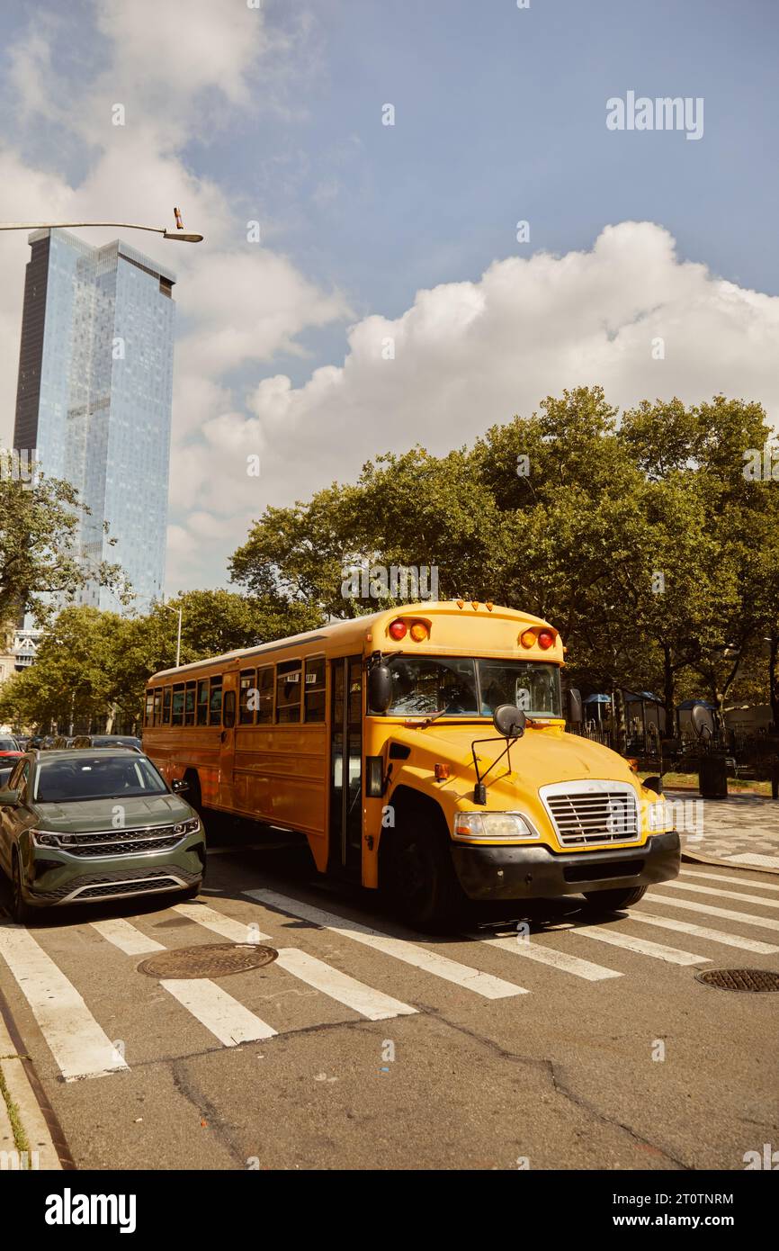 yellow school bus and cars on crosswalk near trees with fall foliage ...