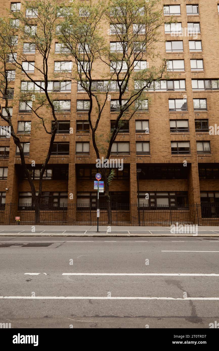 tall trees with fall foliage near brick building on urban street in new ...