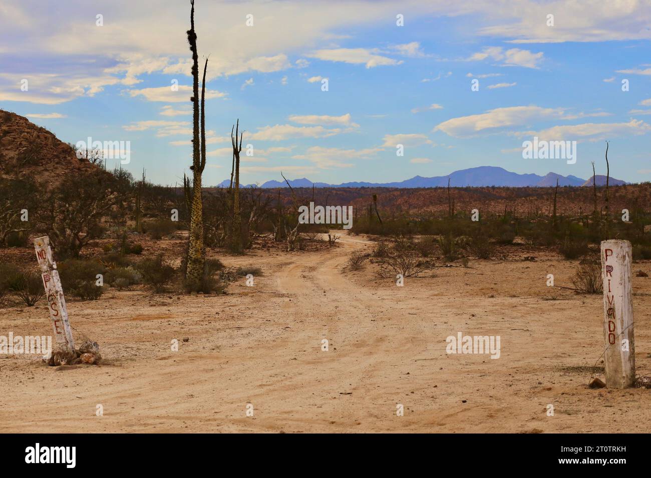 lost in baja mexico trip Stock Photo - Alamy