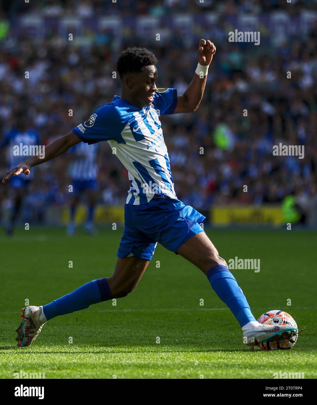 Brighton and Hove Albion's Simon Adingra during the Premier League ...