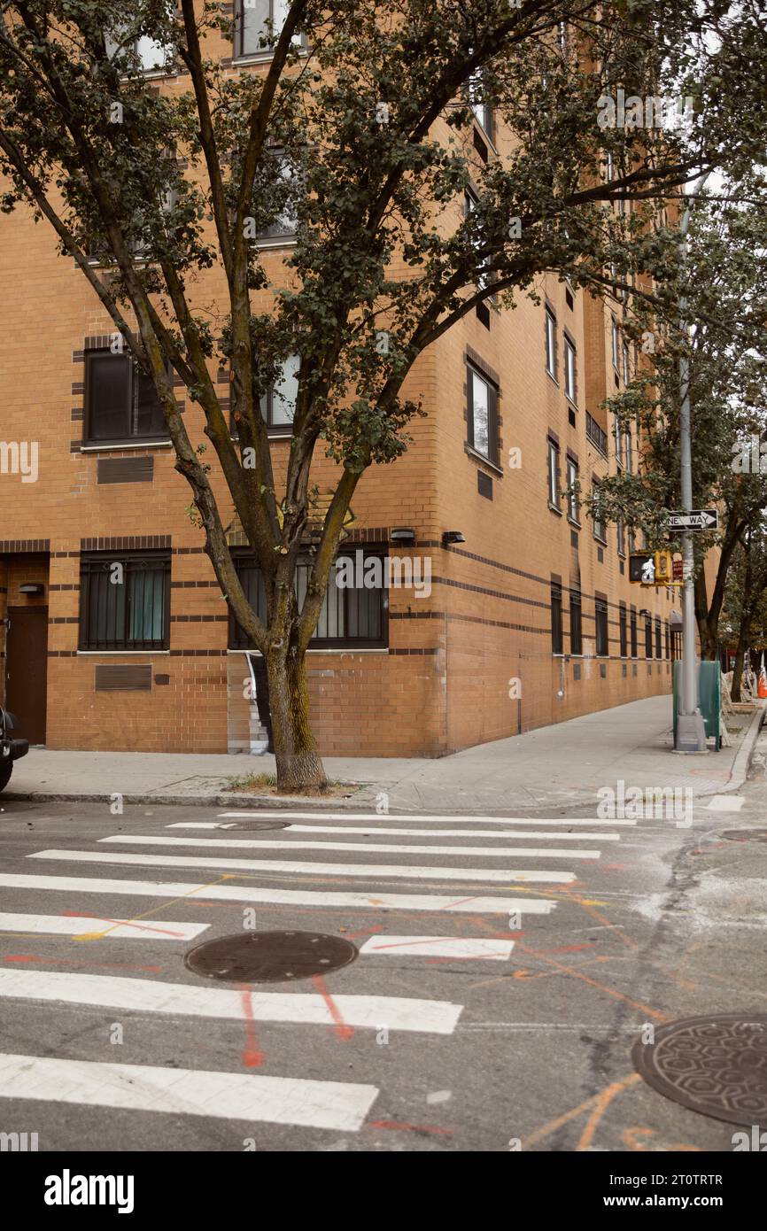 brick building near trees and pedestrian crossing on street in new york ...