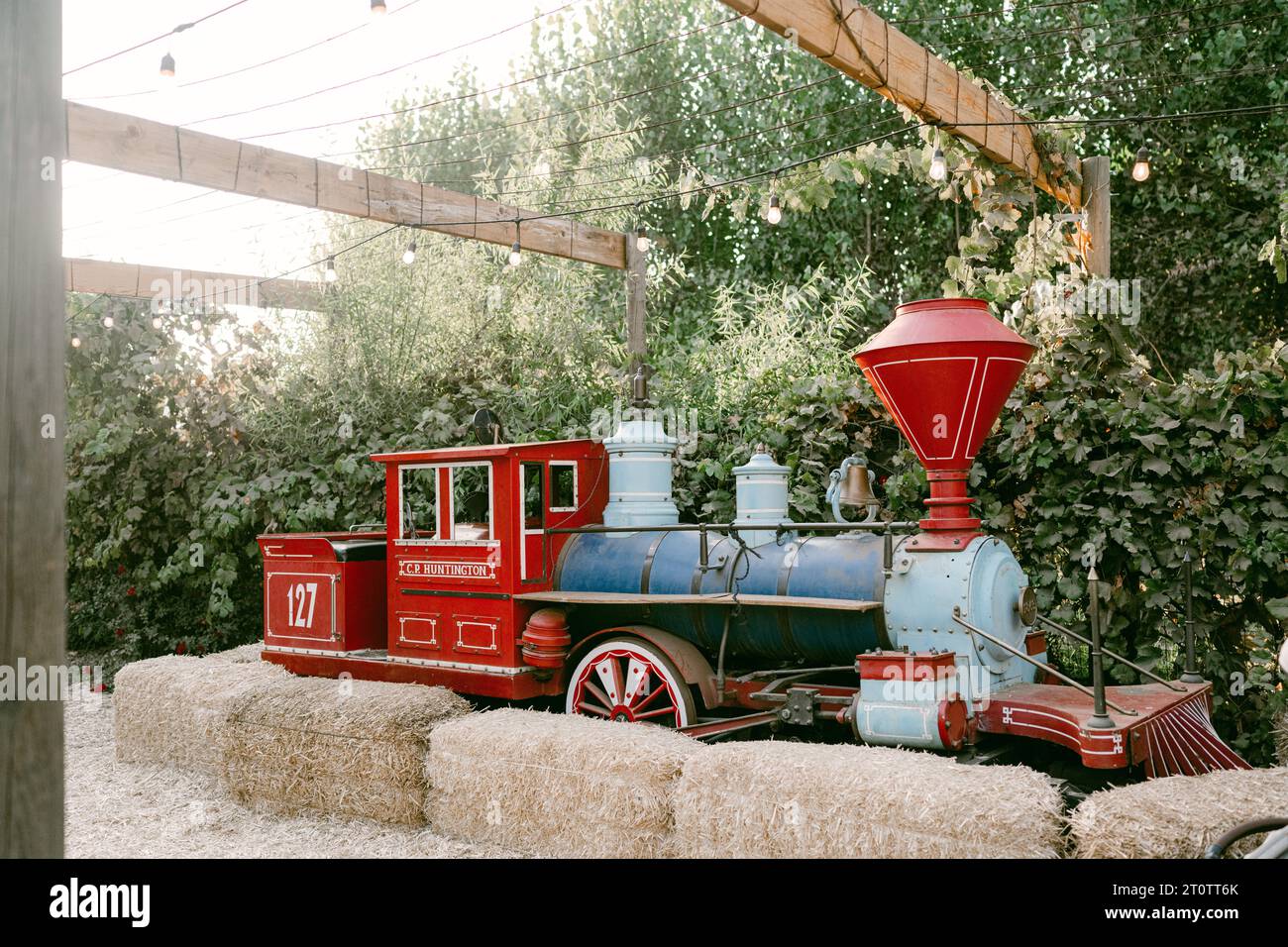 Red and blue mini train Stock Photo - Alamy