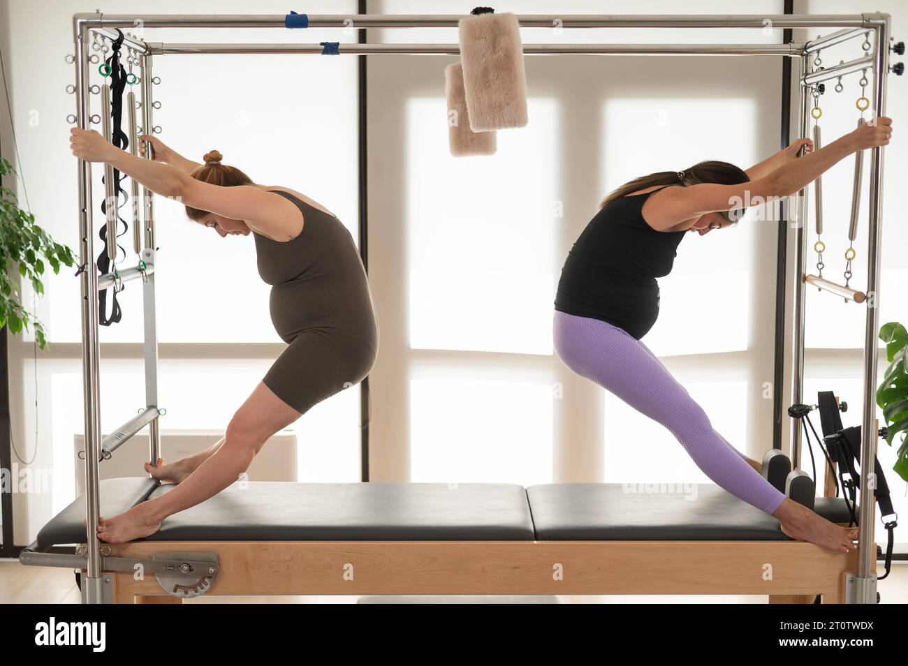 Two pregnant women are doing Pilates on a Cadillac reformer Stock Photo ...