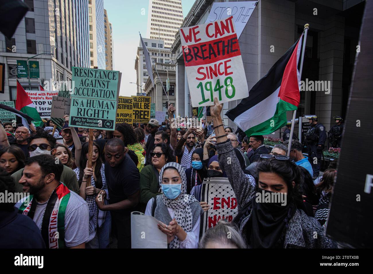 Supporters of Palestine hold flags of Palestine and placards during the ...