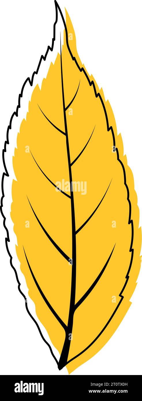 Autumn ash-tree leaf. Autumn ash-tree leaf in doodle sketch style ...