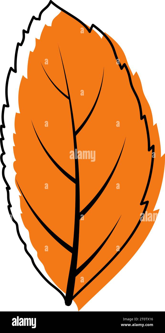 Autumn ash-tree leaf. Autumn ash-tree leaf in doodle sketch style ...