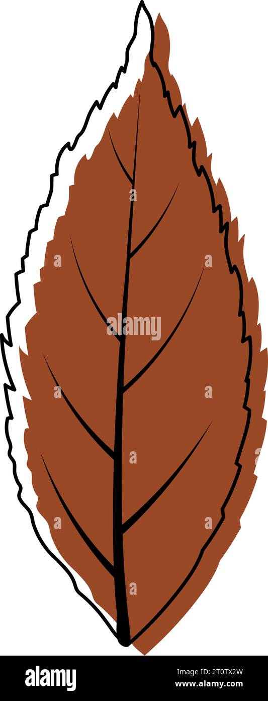 Autumn ash-tree leaf. Autumn ash-tree leaf in doodle sketch style ...