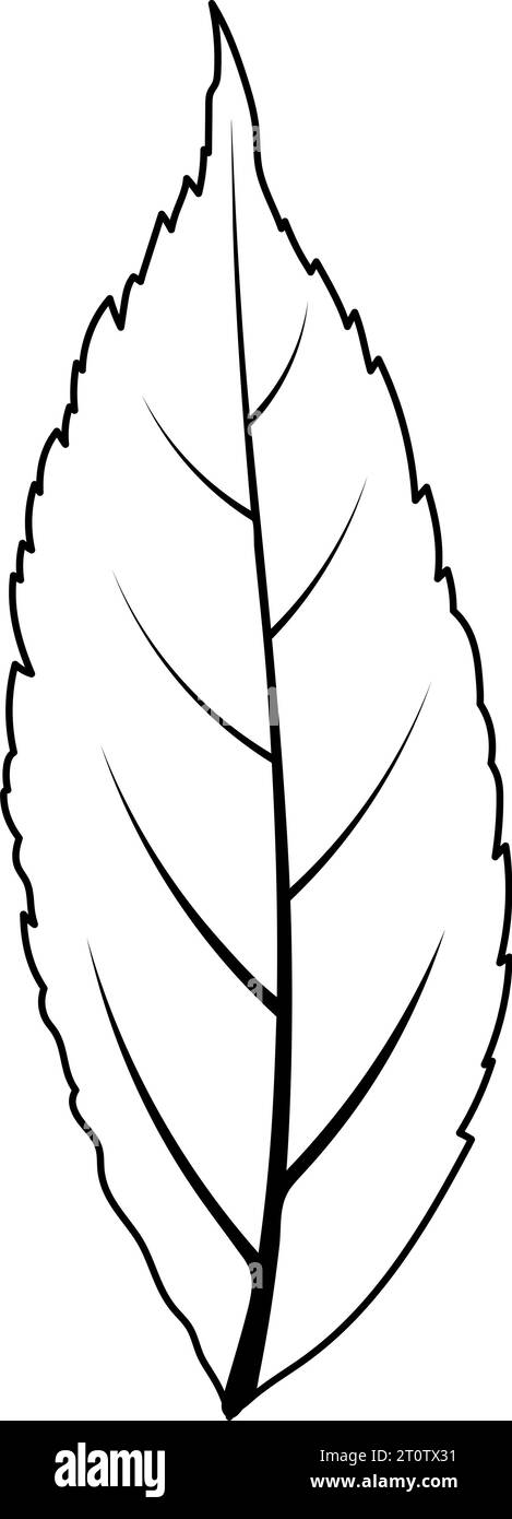 Autumn ash-tree leaf. Autumn ash-tree leaf in doodle sketch style ...
