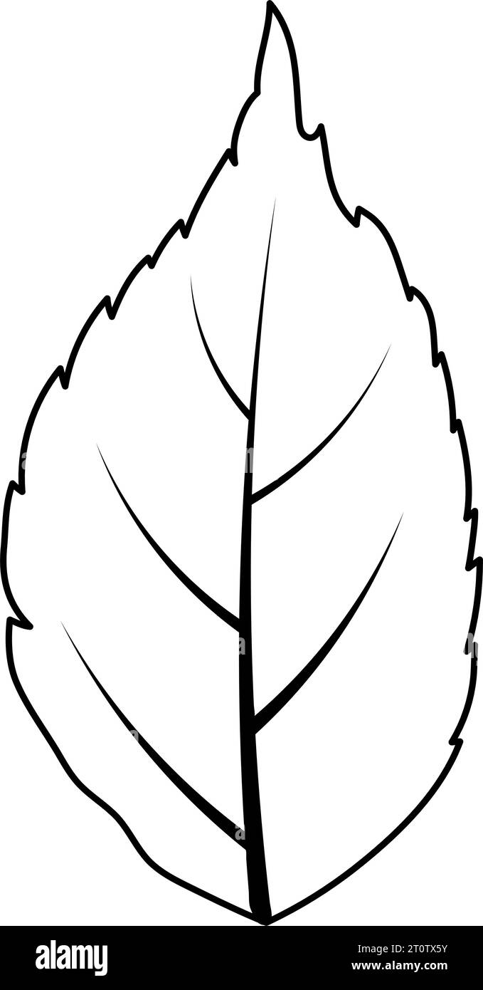 Autumn ash-tree leaf. Autumn ash-tree leaf in doodle sketch style ...