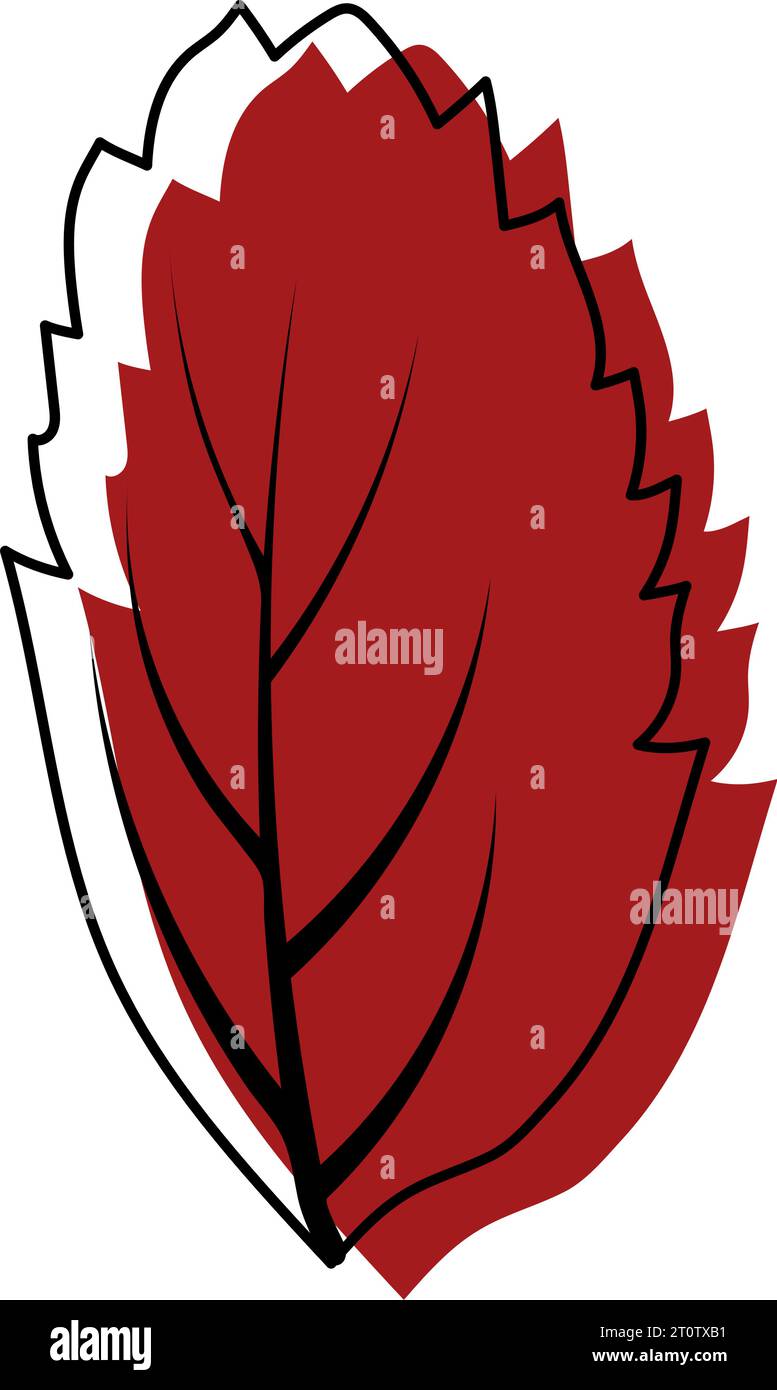 Autumn Rowan leaf. Leaf fall. Vector illustration Stock Vector Image ...