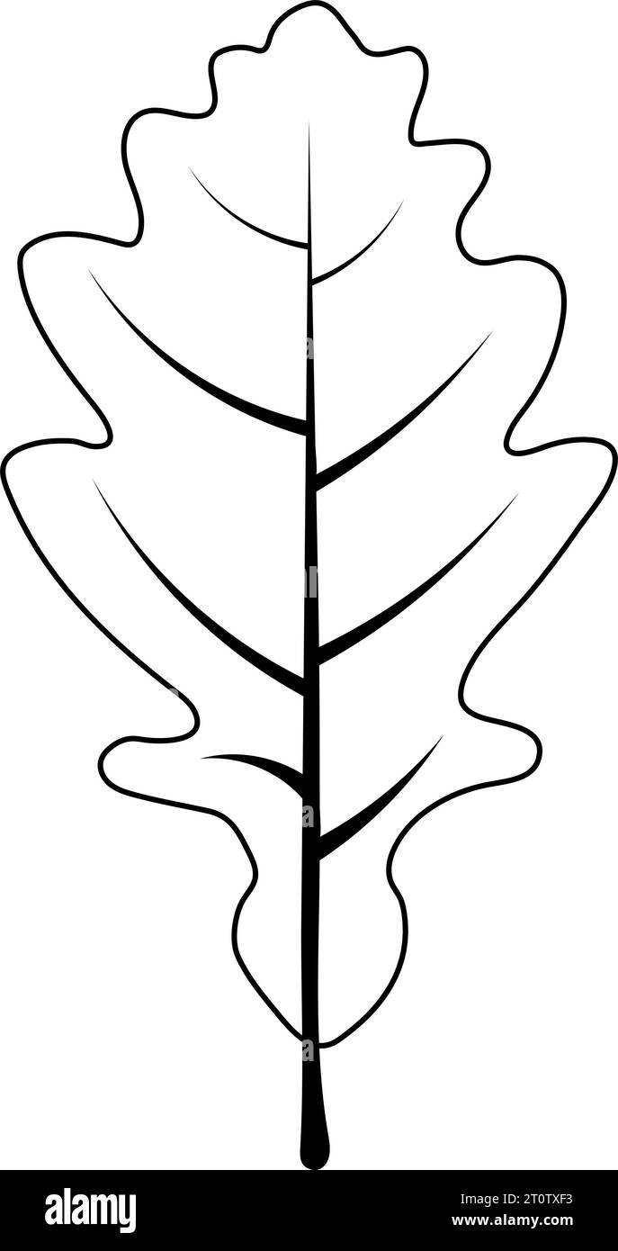 Autumn oak tree leaf. Leaf fall. Vector illustration Stock Vector Image ...