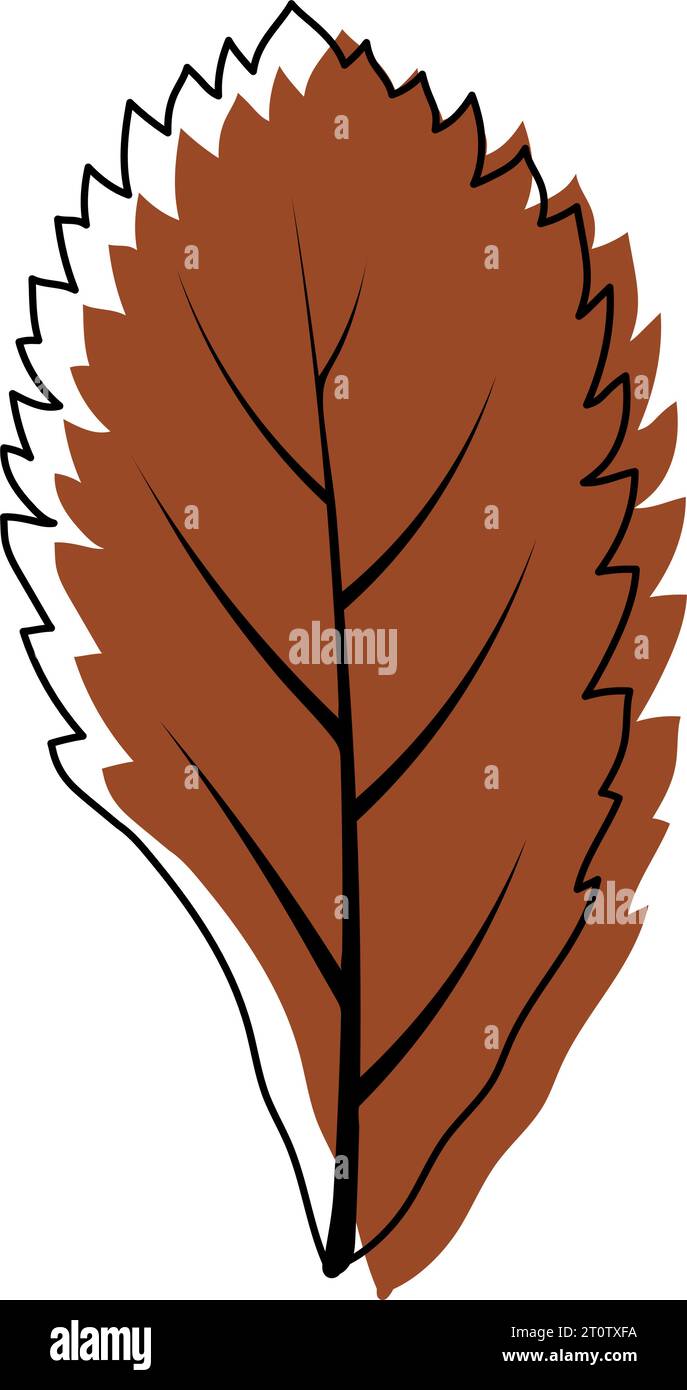 Autumn Rowan leaf. Leaf fall. Vector illustration Stock Vector Image ...