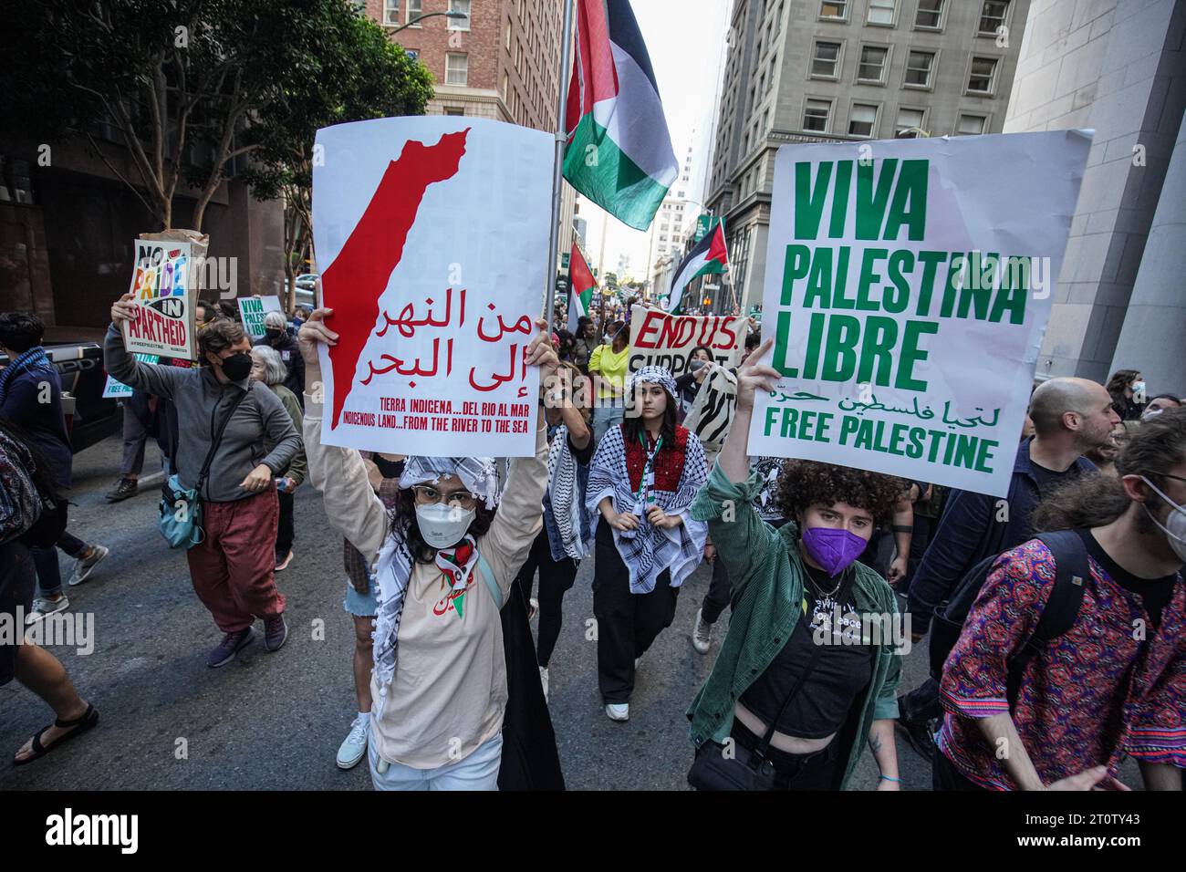 Supporters of Palestine with flags of Palestine and placards march on ...
