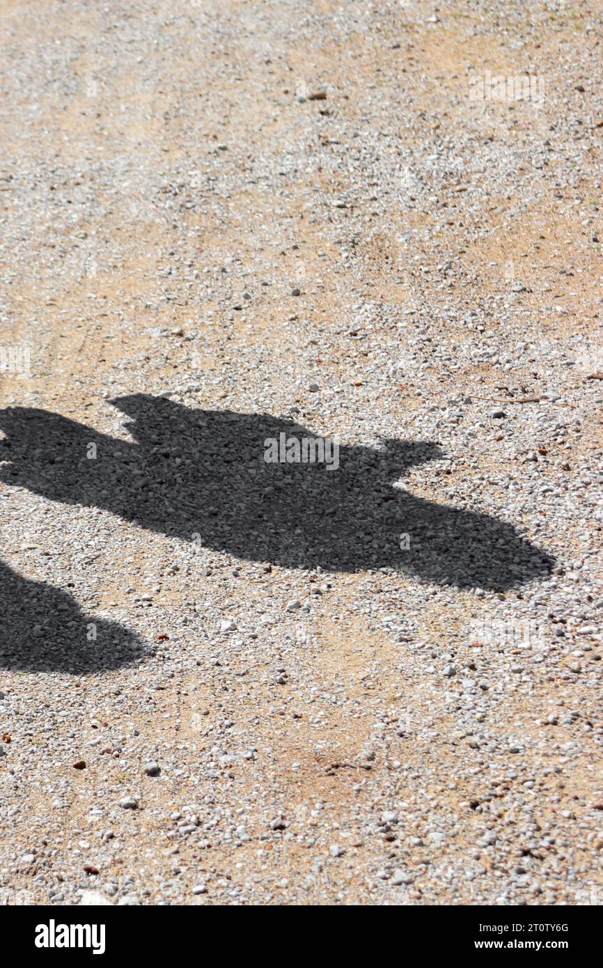 Person walking silhouette sun reflection on sandy gravel ground Stock ...