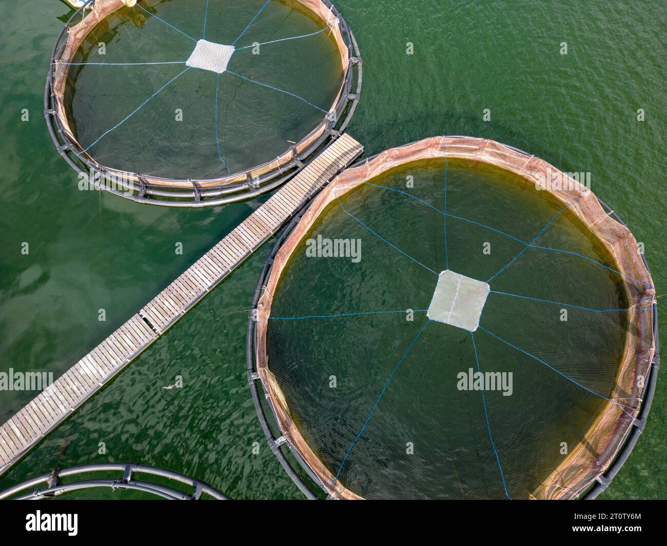 Aerial top view of round mesh fences are commonly used for trout ...