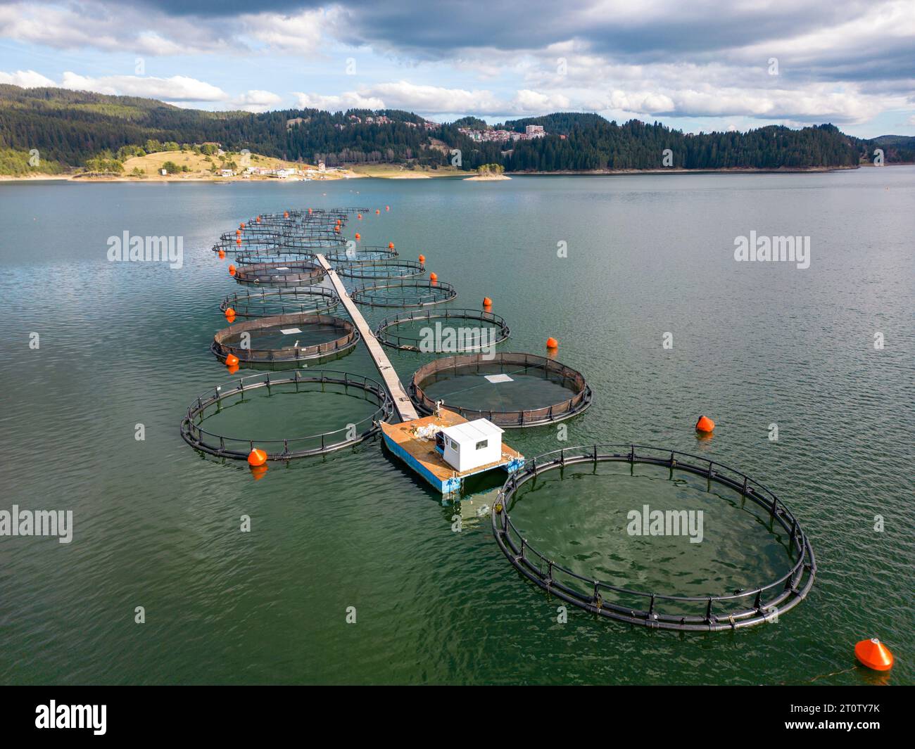 Round mesh hi-res stock photography and images - Alamy