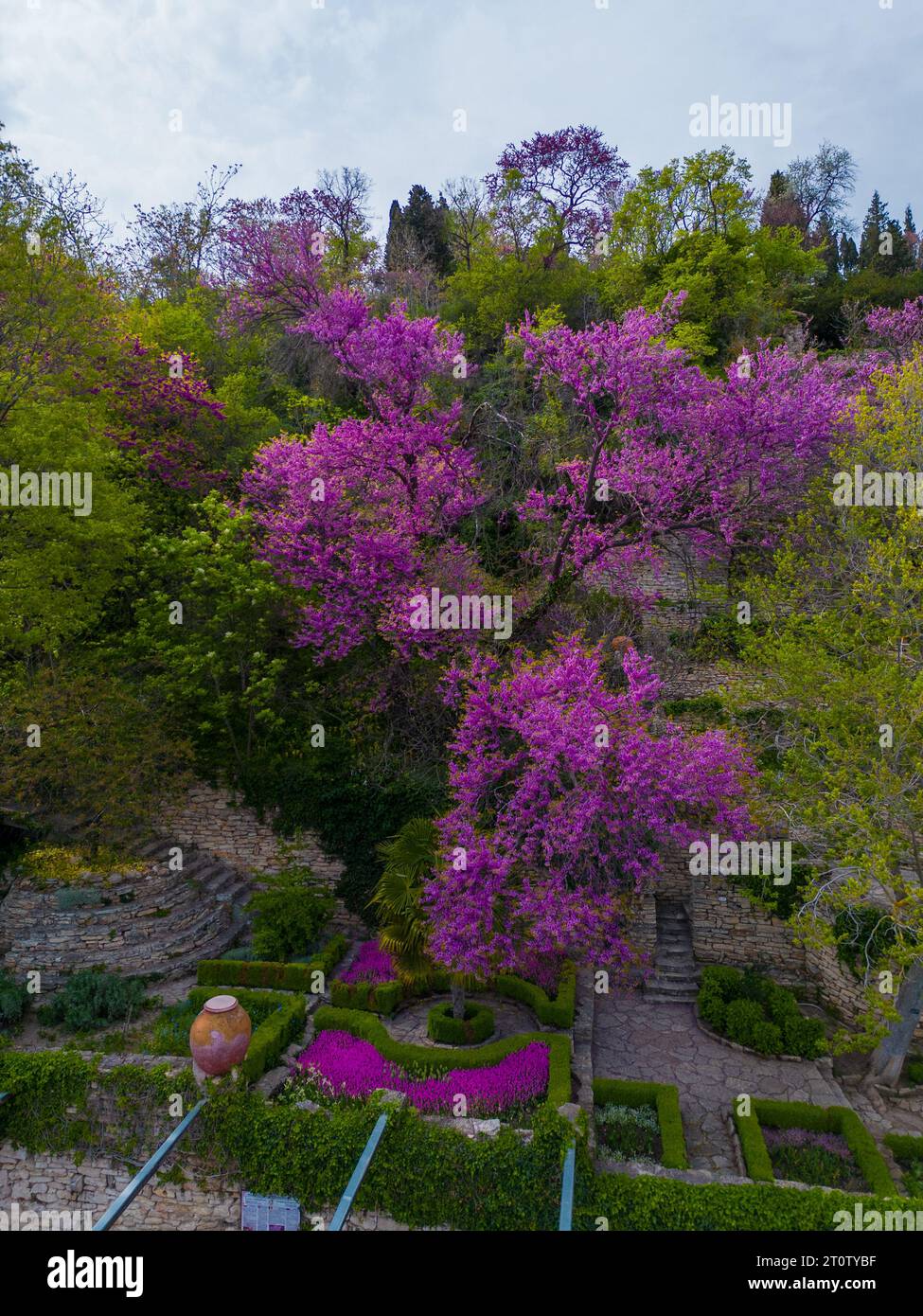 Aerial top view of the stunning Balchik botanical garden in Bulgaria ...