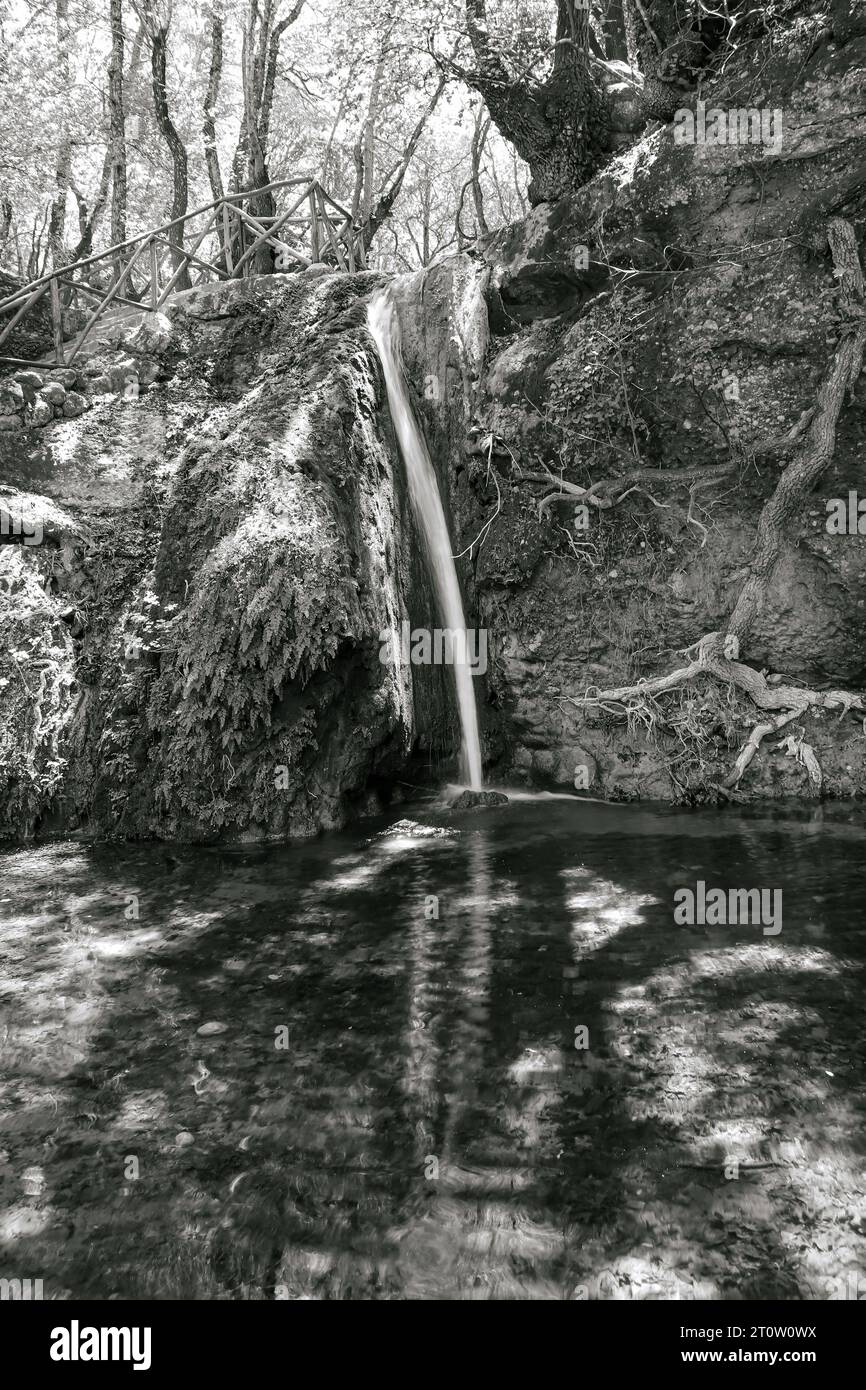 Black and white waterfall shaded by trees and greenery at the Butterfly ...