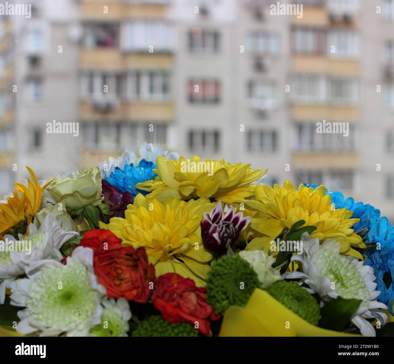 High rise apartment interior hi-res stock photography and images - Alamy