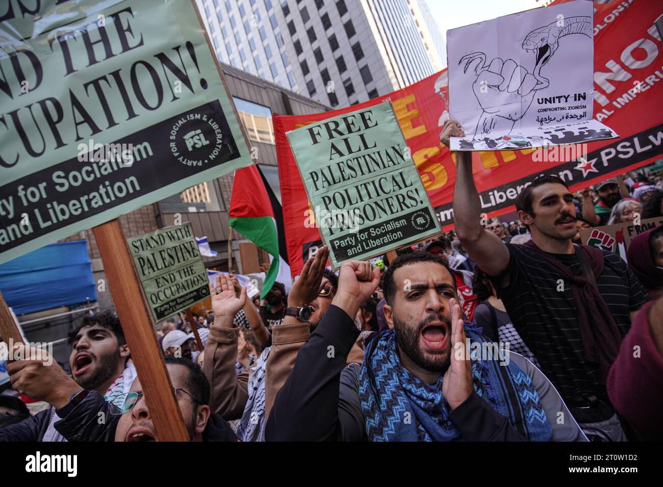 Supporters of Palestine hold flags of Palestine and placards during the ...