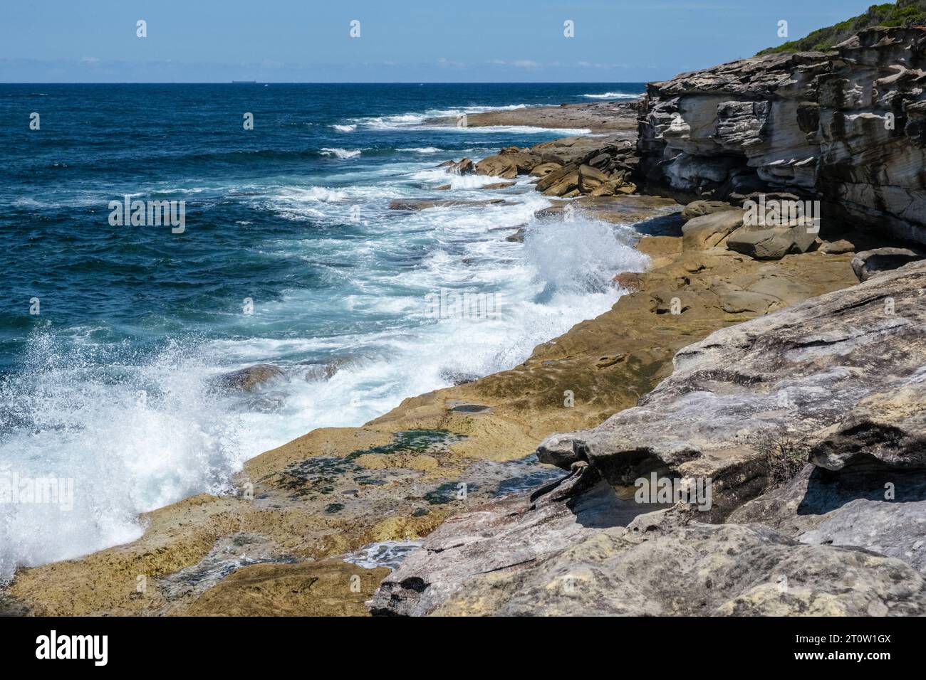 Jibbon head hi-res stock photography and images - Alamy