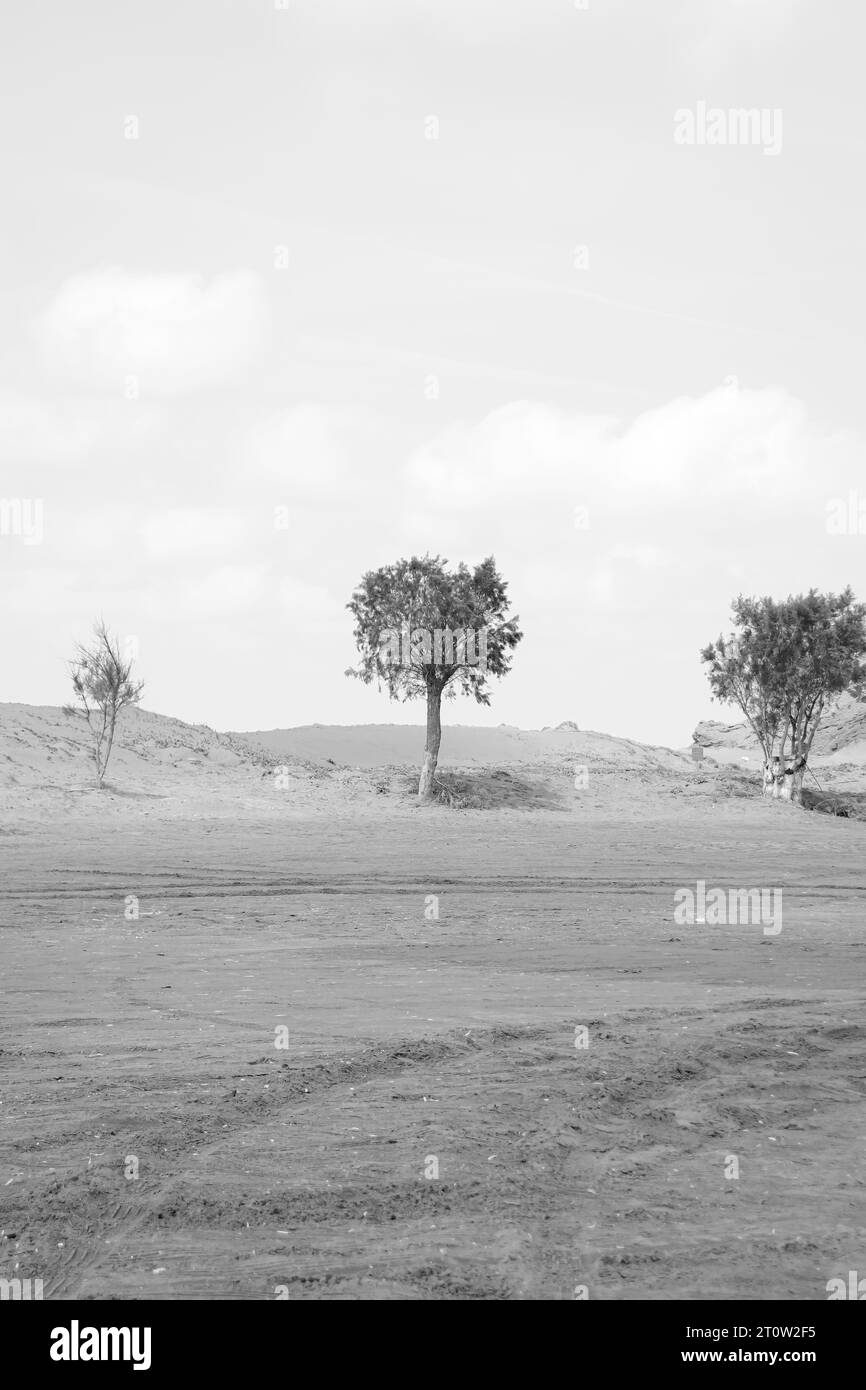 Meet nature Black and White Stock Photos & Images - Alamy