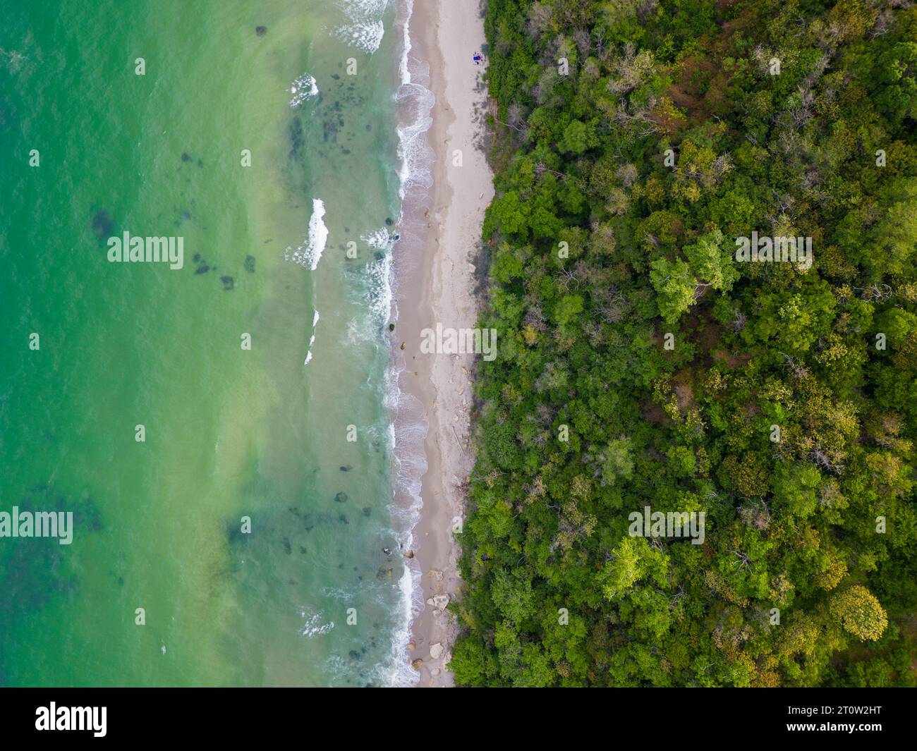 From above, the mesmerizing beach unfolded with golden sand caressed by ...