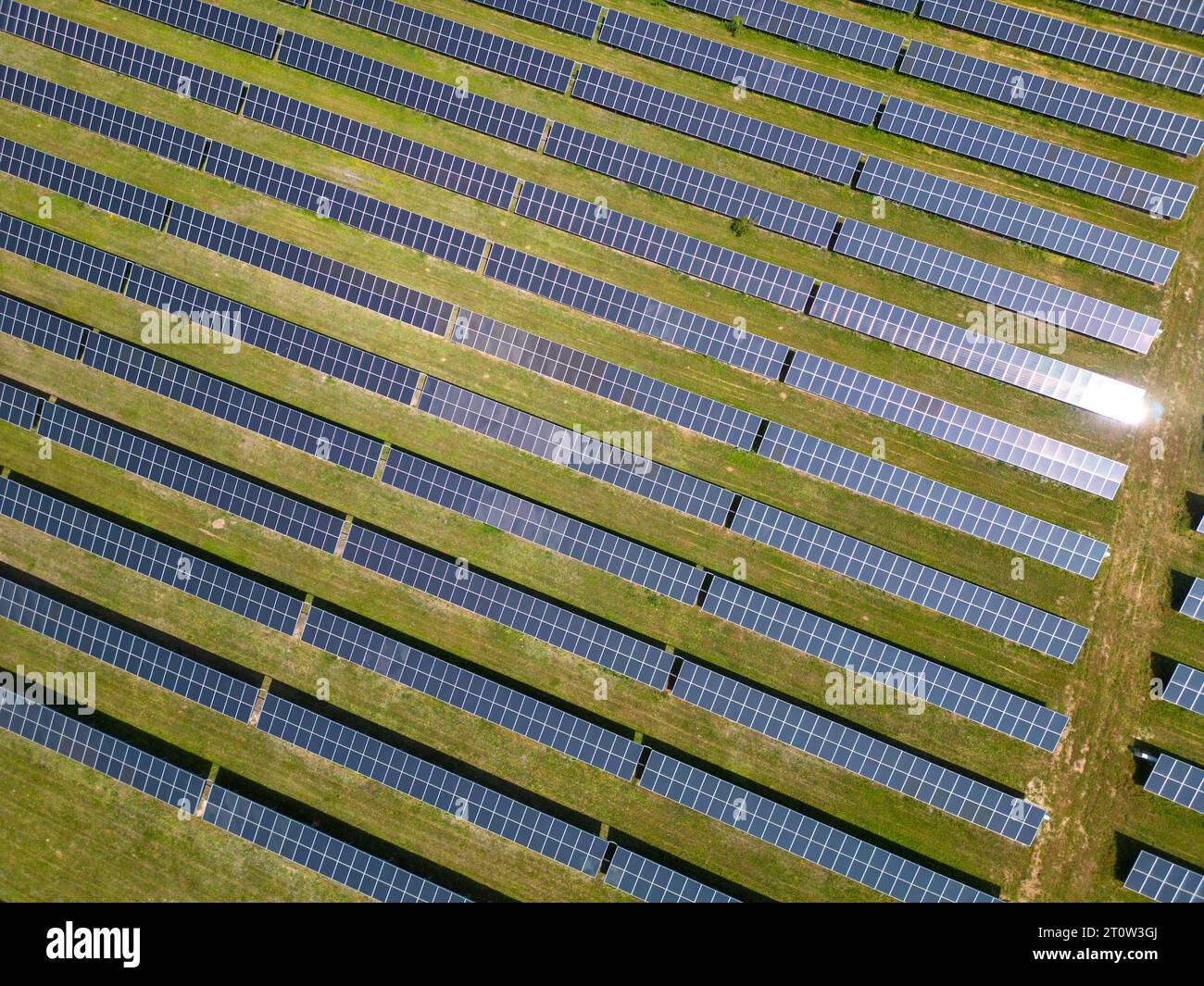 Amidst a lush meadow and forest, solar panels stand tall, harnessing ...