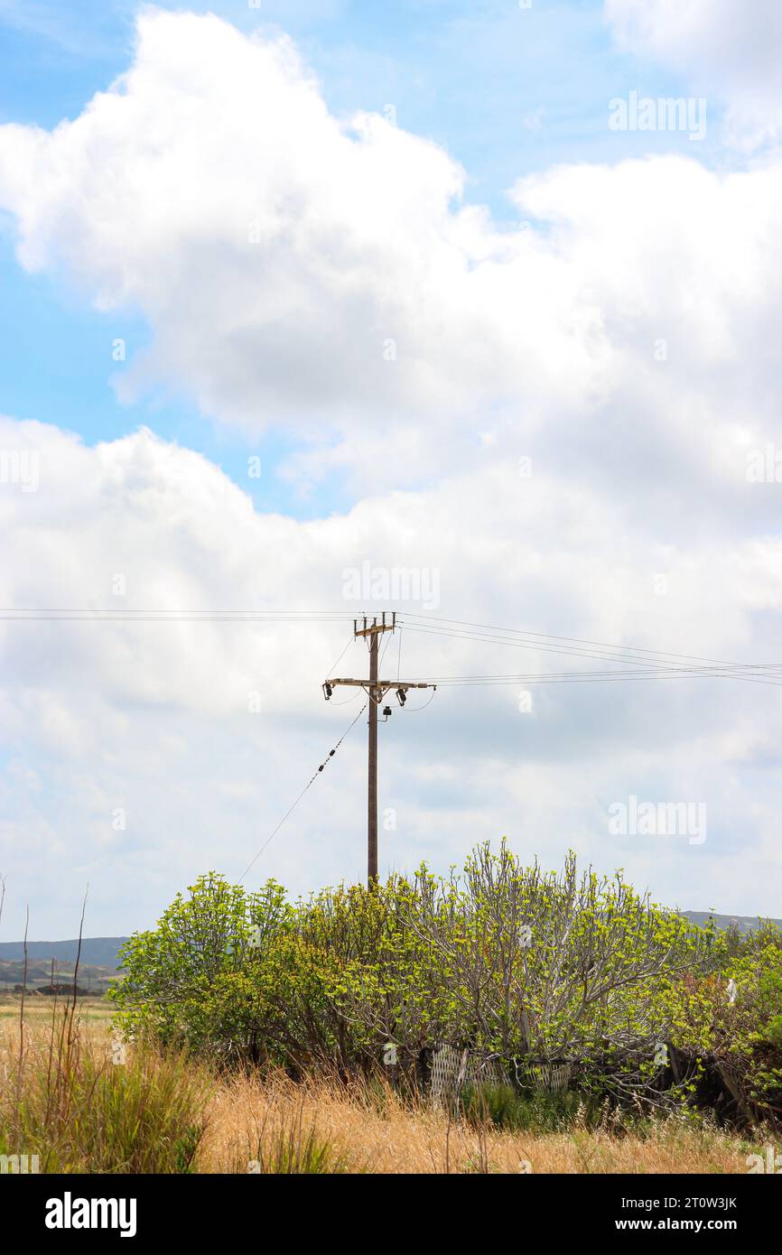 Utility electricity pole used to support overhead power lines placed in ...