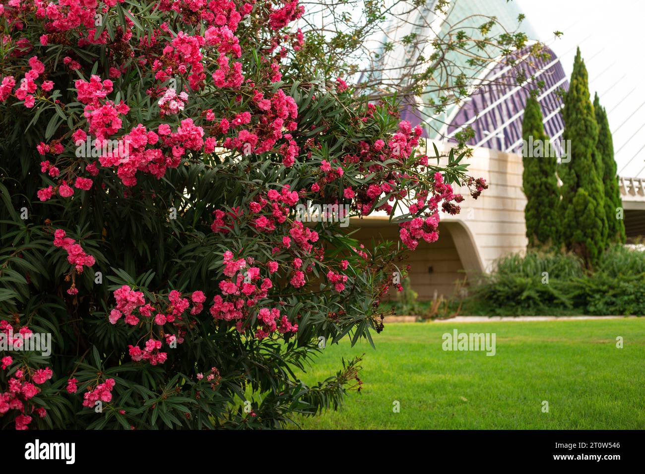 Gardening beautiful hi-res stock photography and images - Alamy