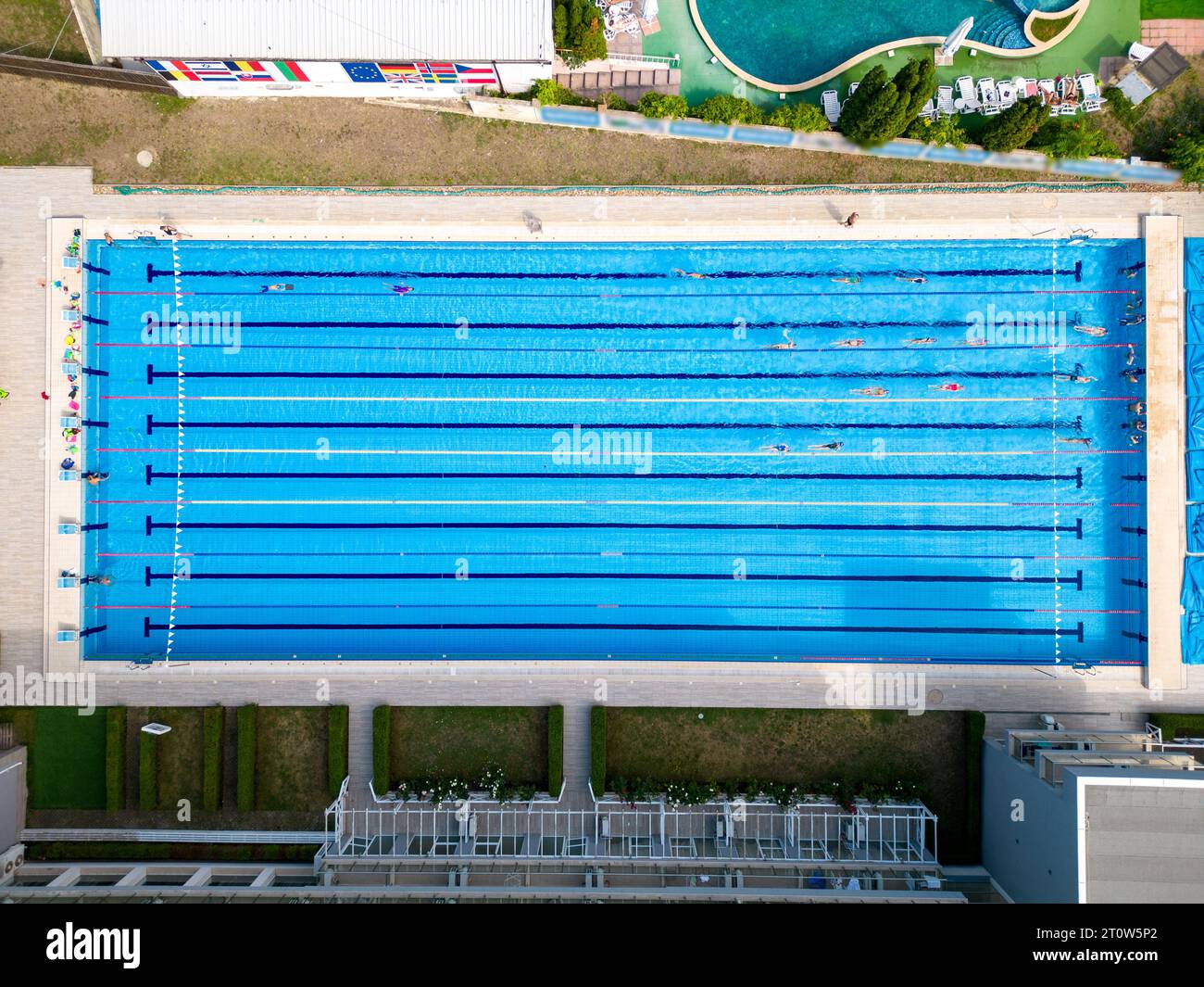 From above, you can see a group of swimmers training in a sports pool ...